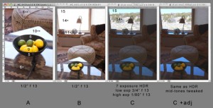 The Zone System and Digital – Let your Spot Meter do the Work