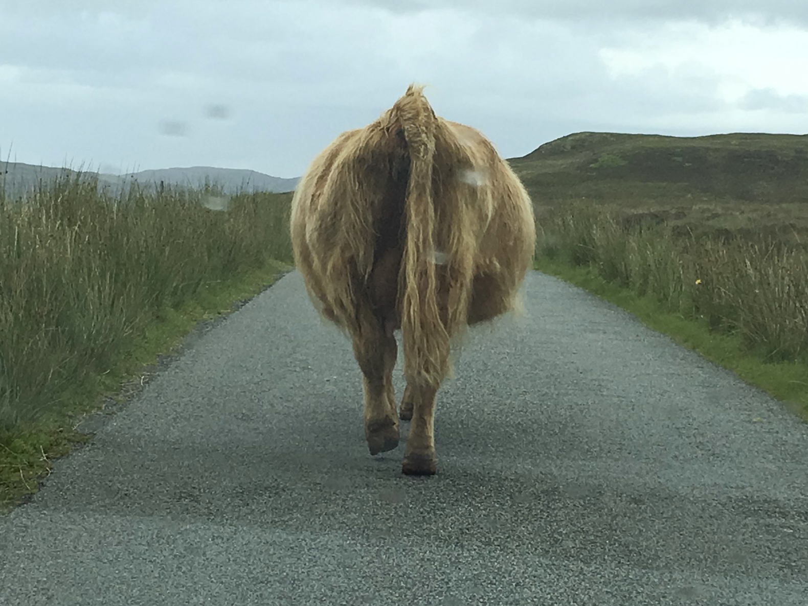 The Western Isles of Scotland | Alan Ross Photography