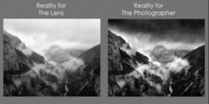 Blog | Alan Ross Photography